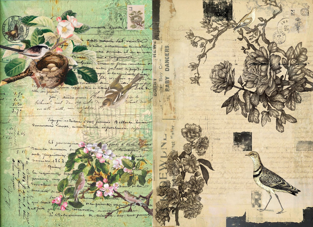 Botanical Blocks - Roycycled Decoupage Paper – Sentimental Salvage & Design